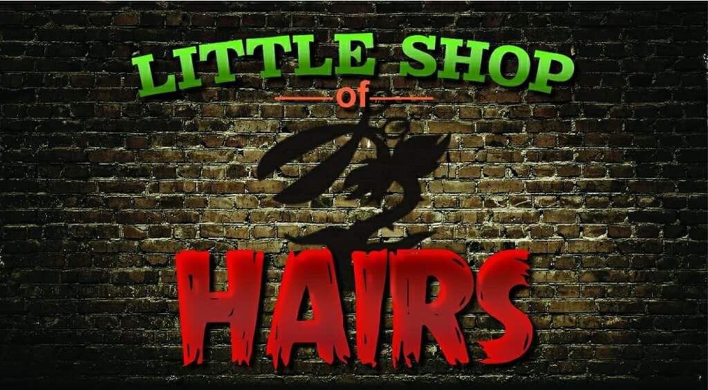 Appointments | Little Shop of Hairs